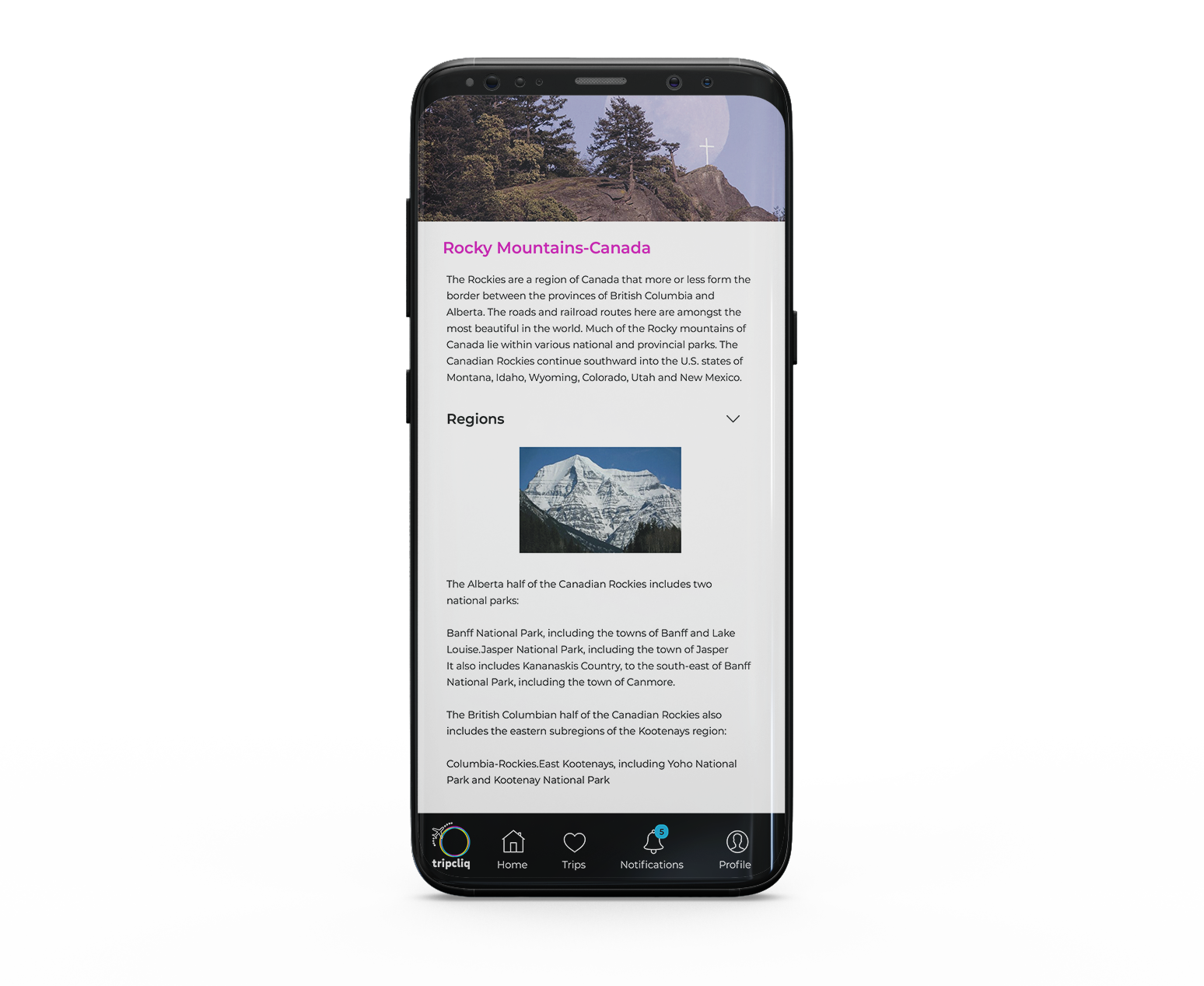 TripCliq Mobile App Development | Luminoustec Case Study